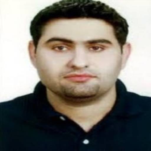 Editorial Board | Current Trends in Civil & Structural Engineering ...