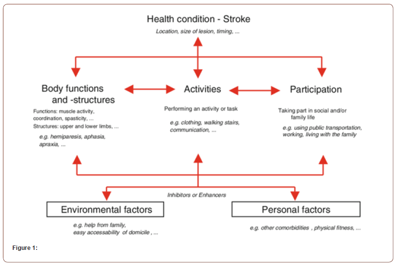 Correlation Between Functional Strength of Lower Limb, Sit to Stand and ...