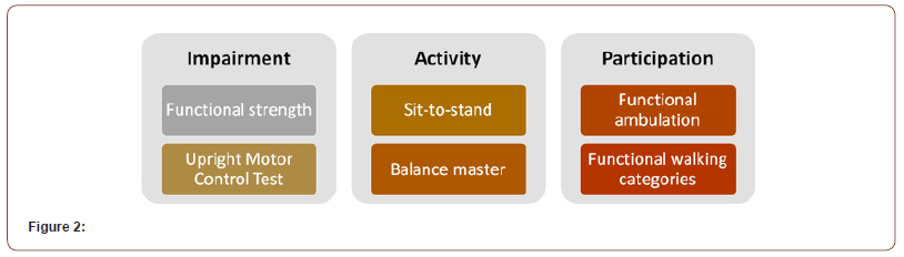 Correlation Between Functional Strength of Lower Limb, Sit to Stand and ...