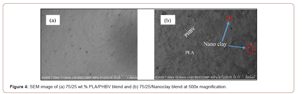 Mechanical, Thermal, and Morphological Study of Nanoclay Reinforced Bio ...