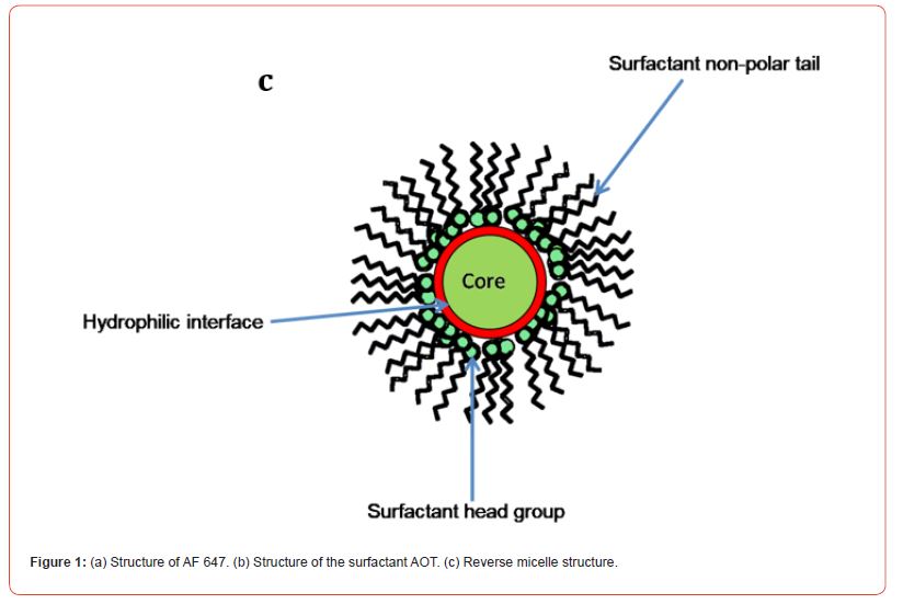 Photophysical and Hydrodynamic Properties of Fluorescent Dye Alexa ...